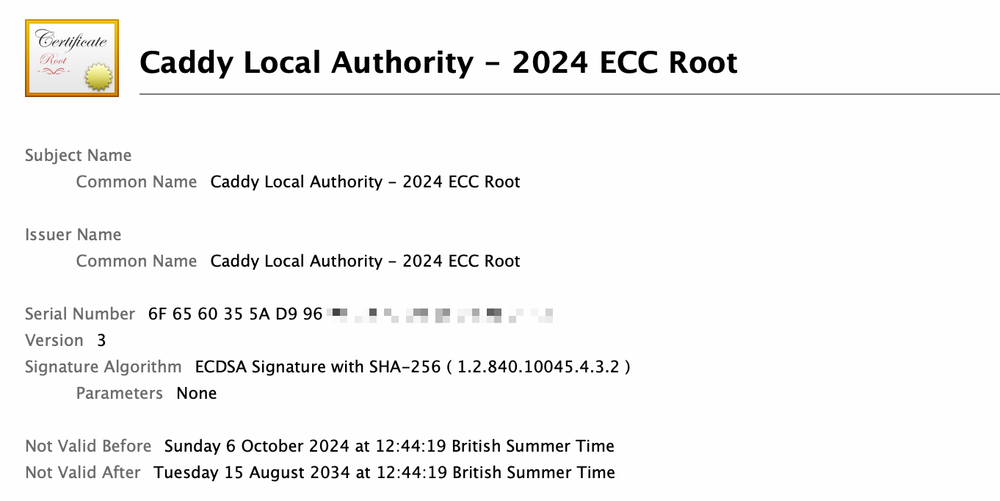 Caddy Reverse Proxy With Docker