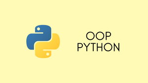 Python Object Oriented Programming (oop) - With Examples