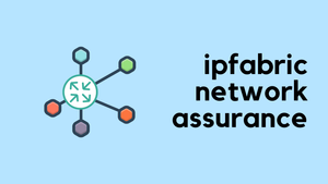 My Experience with IP Fabric Automated Network Assurance Platform