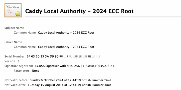 Caddy Reverse Proxy With Docker